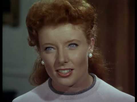 The Baron 1966 EP13 Portrait of Louisa ¦ HD 1080p Restoration