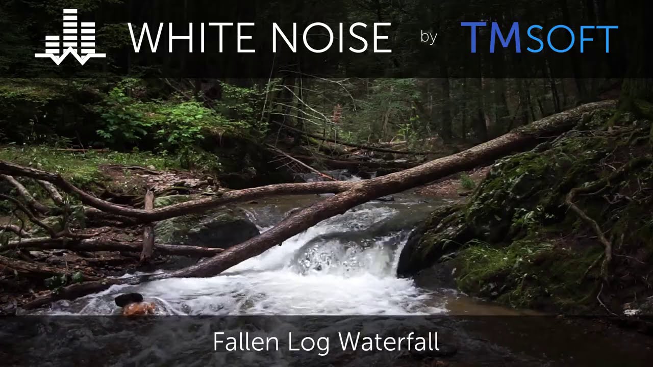 Fallen Log Waterfall Nature Ambience - 1hr Scenic Video - YouTube