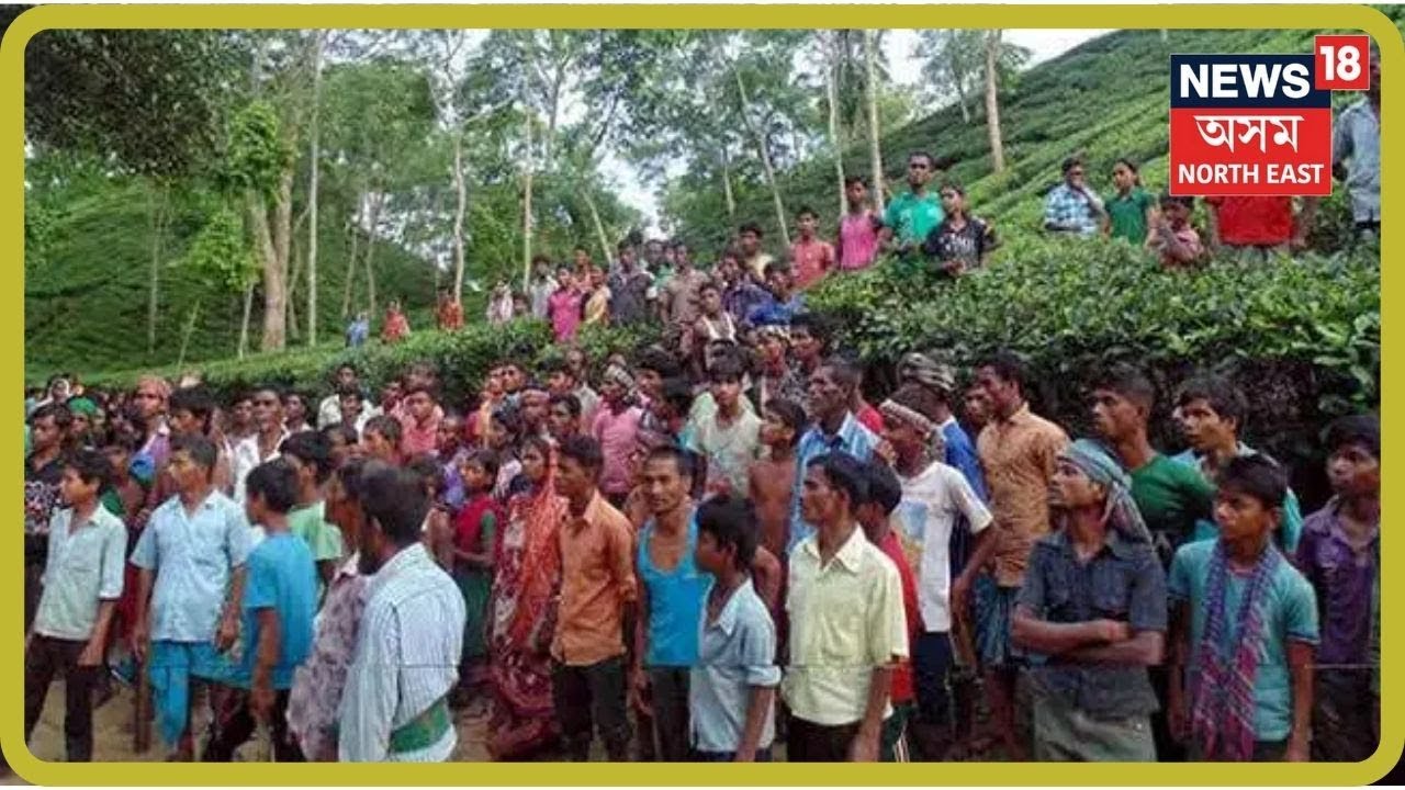 Teok Tea Garden Labours Beat Dr. Deven Dutta To Death - YouTube