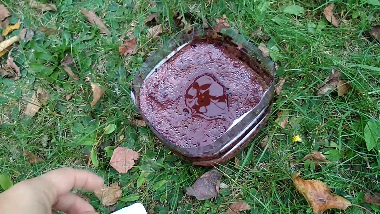 Apsauga nuo stirnų, zuikių ir kitų sodo graužikų - YouTube