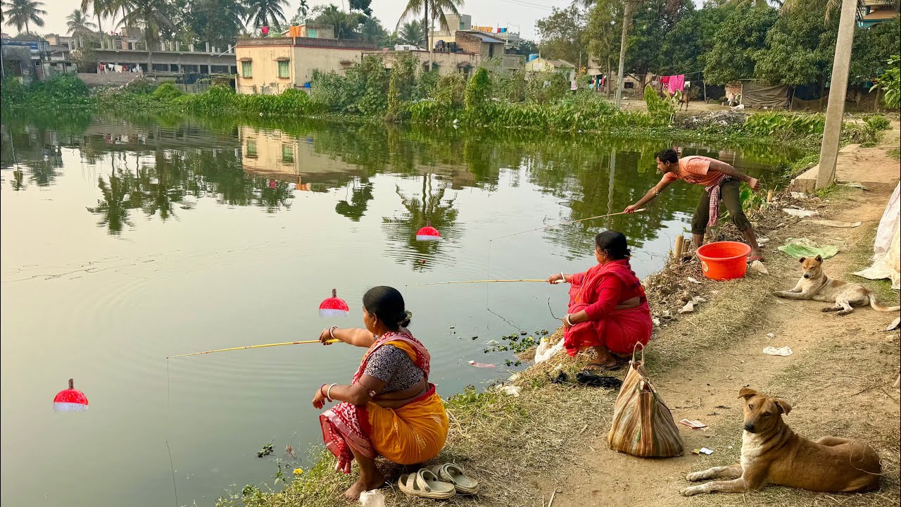 Fishing Video || If you watch three fishermen catching fish, you too ...