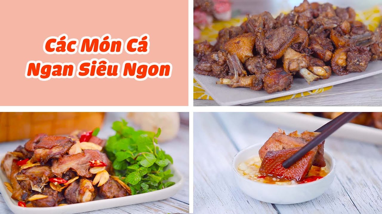 Tổng Hợp 5 Cách Chế Biến Ngan Cực Kỳ Hấp Dẫn - YouTube