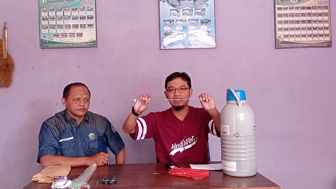 Pengenalan macam alat IB (Inseminasi Buatan) pada sapi dan kambing ...