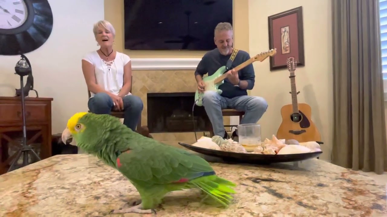 Hit Me With Your Best Shot (feat.Lisa Rott) - YouTube