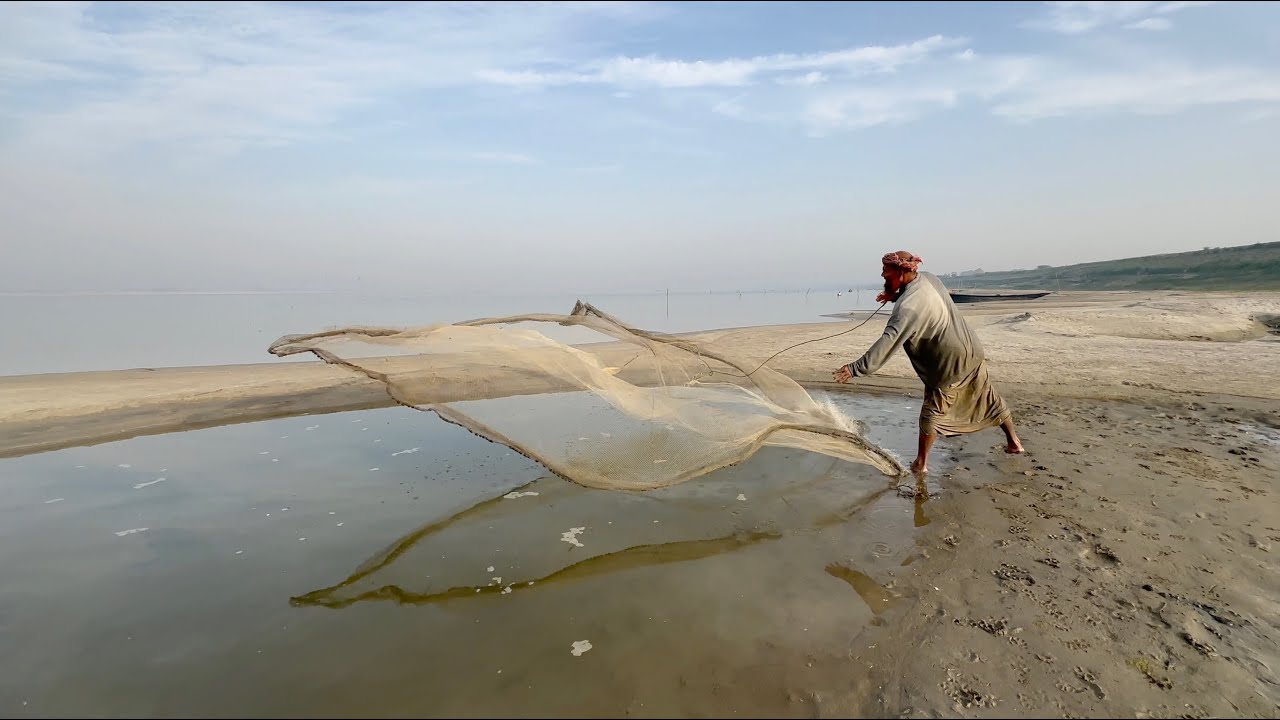 A Lot of Small Fish Caught in Cast Net || Fishing Skills of Old ...