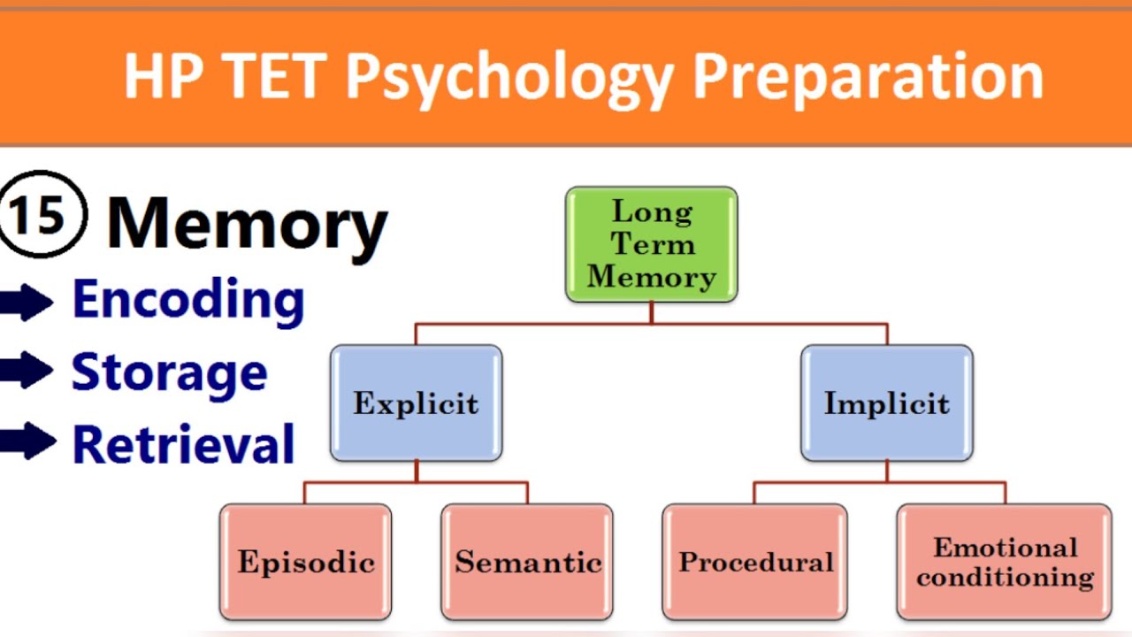 Memory | Types of Memory in Psychology | HPTET Psychology Preparation ...
