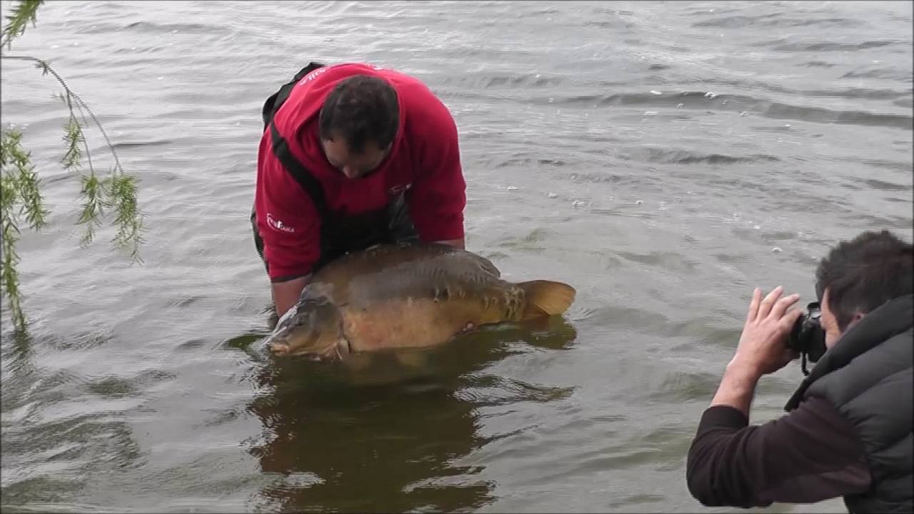 One of my last Grenville fish - YouTube