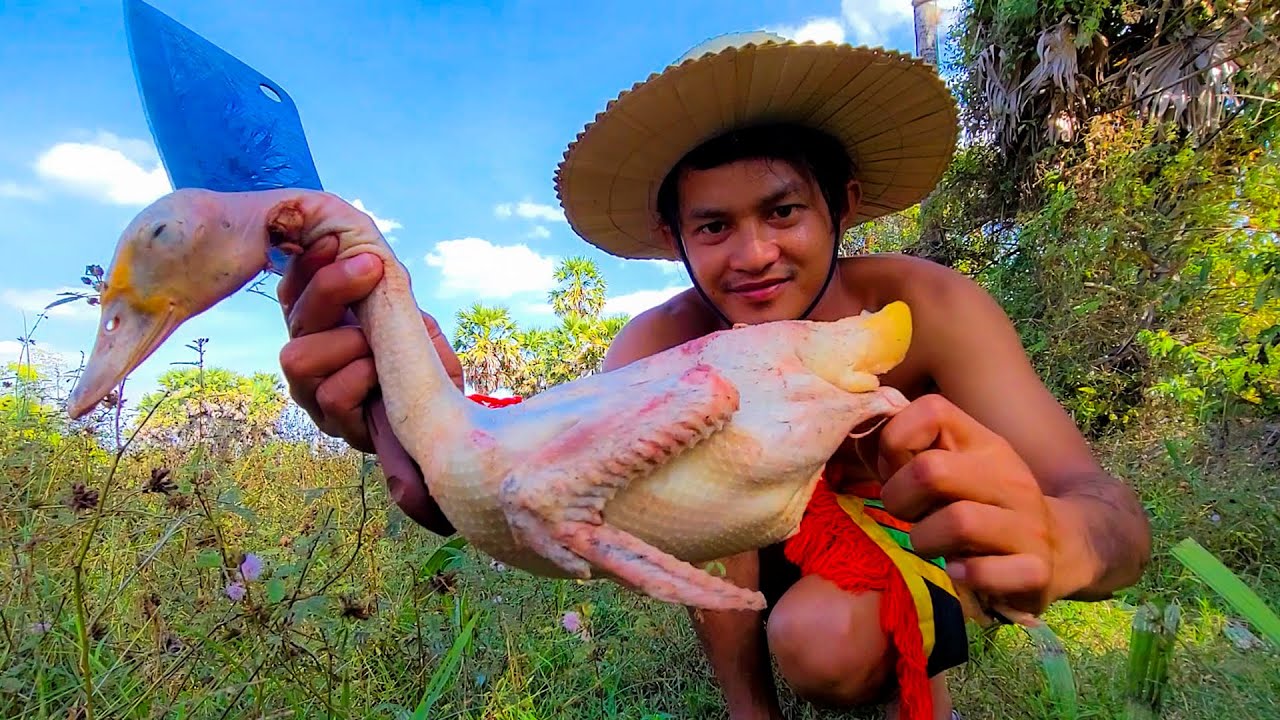 Steam Duck at Field | Outdoor Cooking | Duck Recipes - Steam Tasty Duck ...
