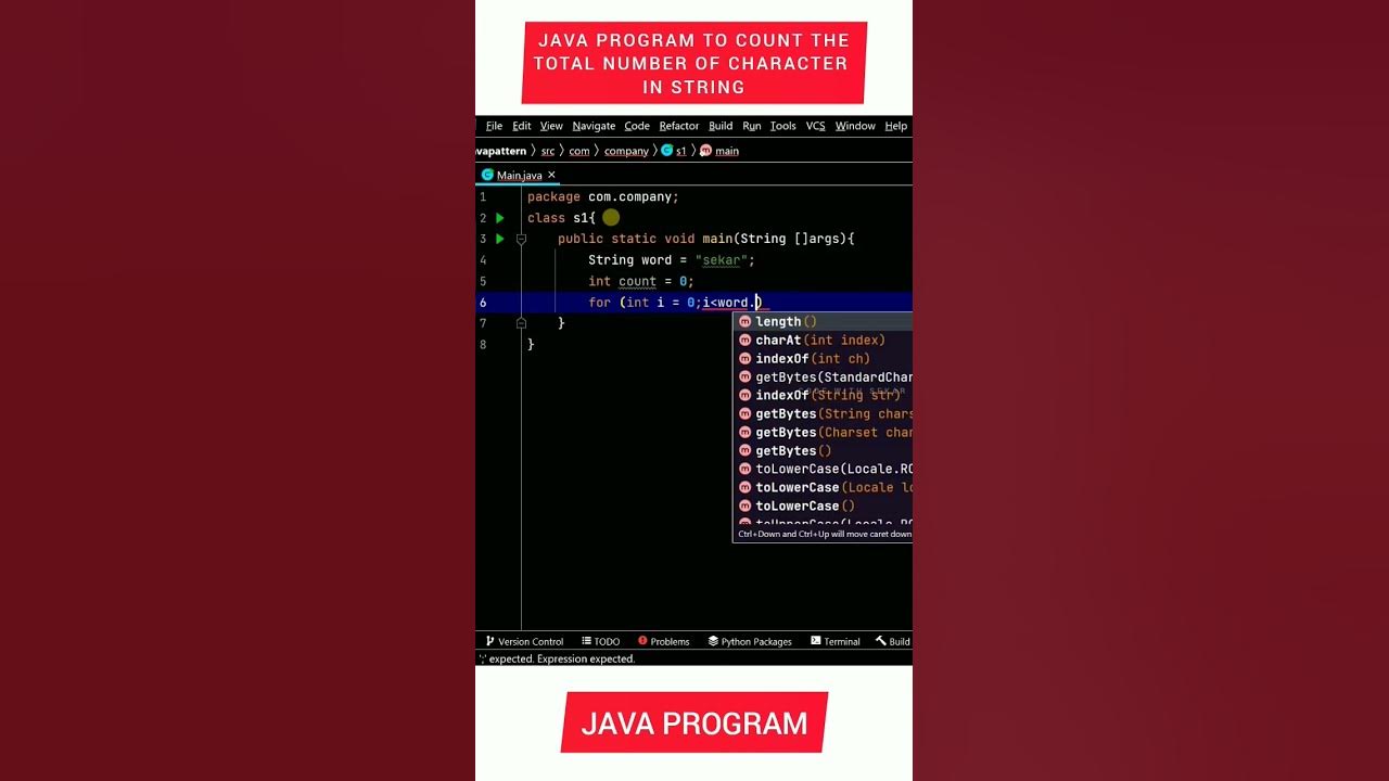 Count The Total Number Of Character In String Java Program Java count-the-total-number-of-character-in-string-java-program-java