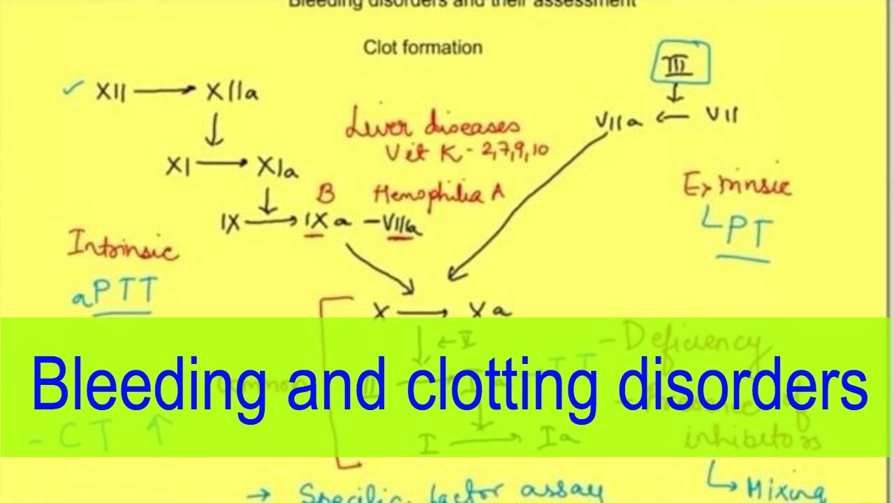 Bleeding & clotting disorder & their assessment |Pathology|Physiology ...