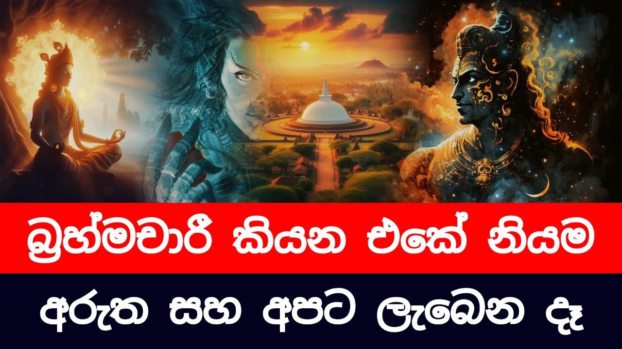මහ බොධිසත්වයන් වහන්සේ ජීවත්වන විදියට කාටවත් ජීවත් වෙන්න බෑ Youtube