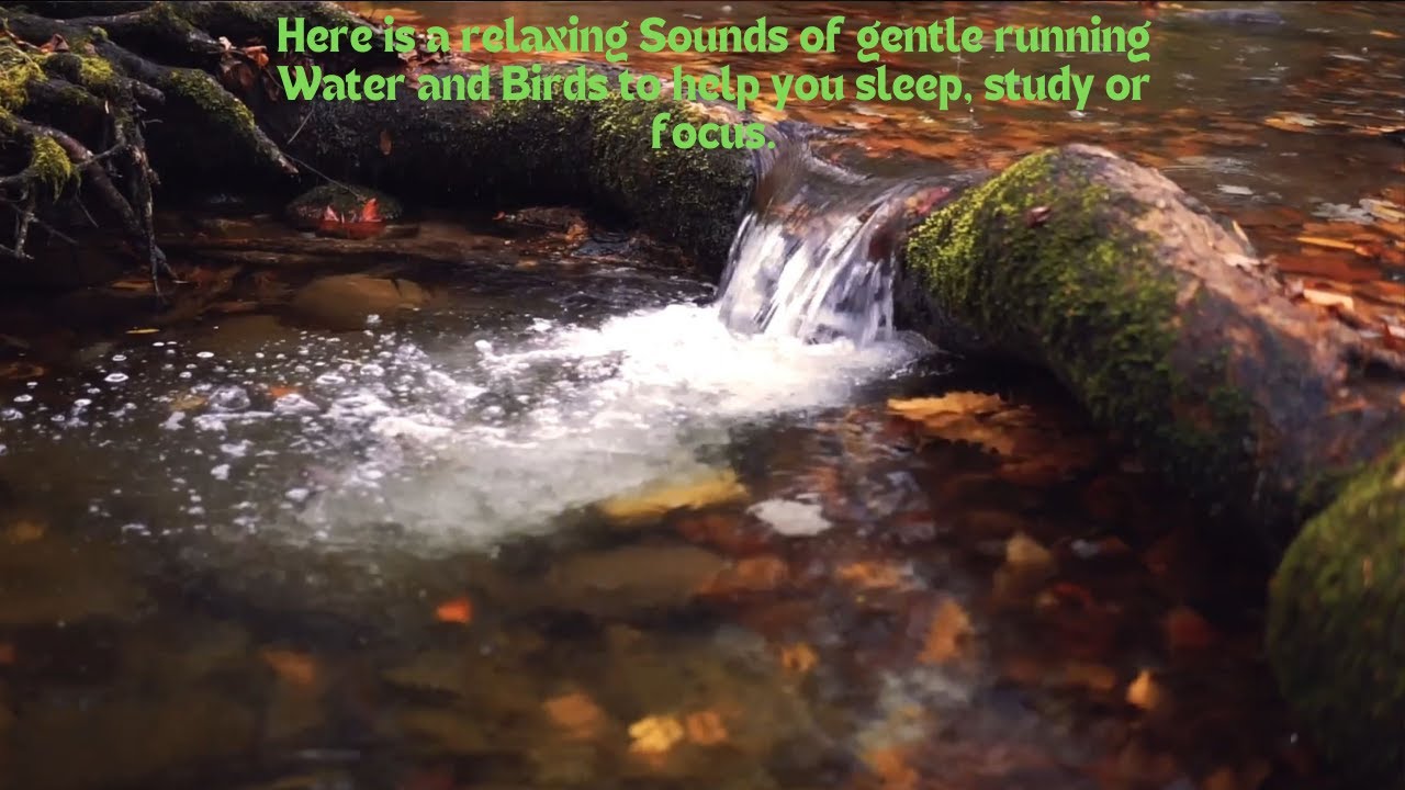 Here is a relaxing Sounds of gentle running Water and Birds to help you ...