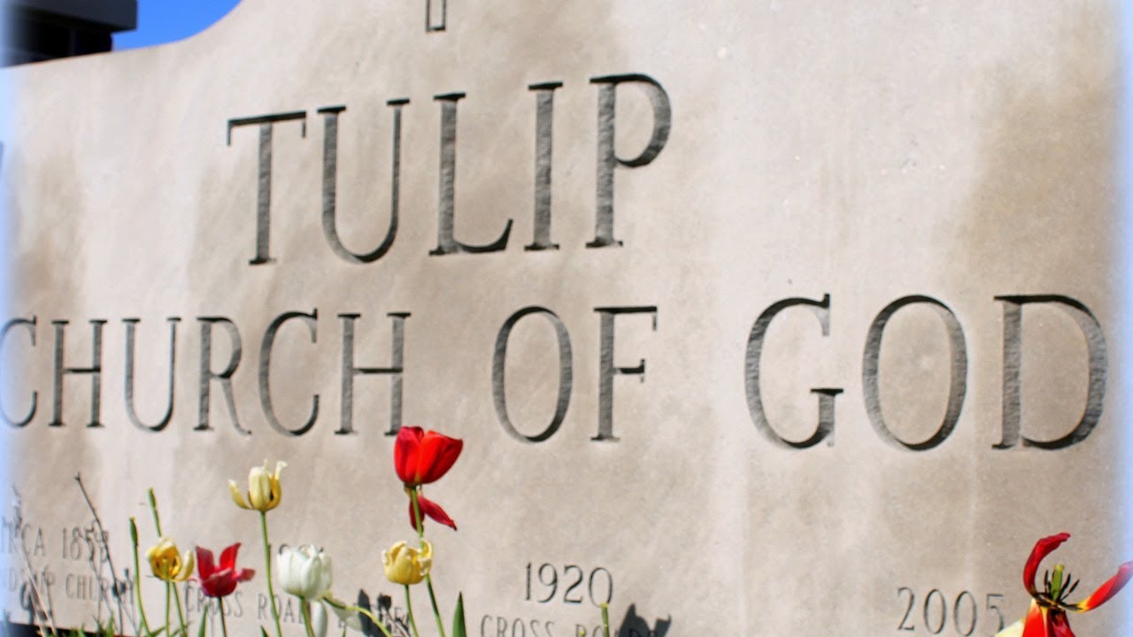 June 7th Tulip Church Worship - YouTube
