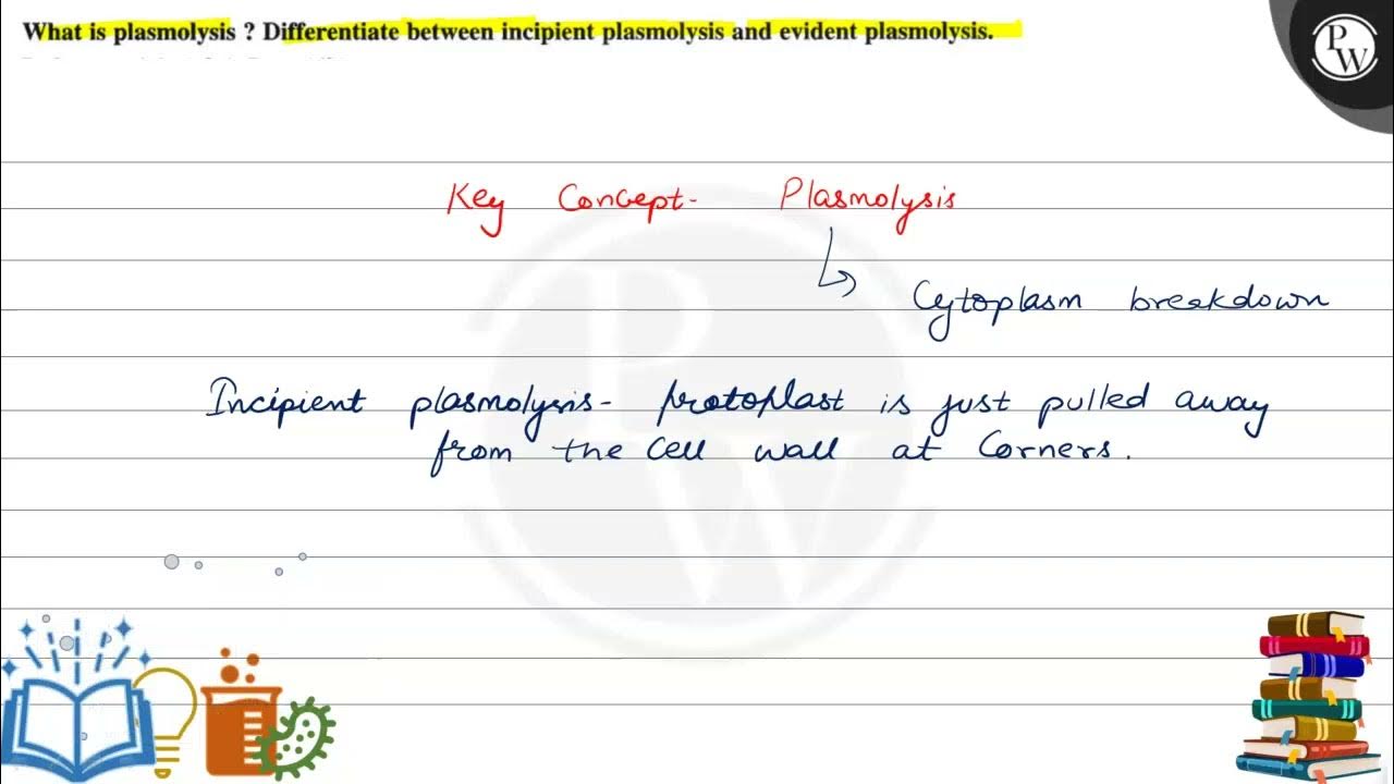 What Is Plasmolysis Differentiate Between Incipient Plasmolysis An what-is-plasmolysis-differentiate-between-incipient-plasmolysis-an