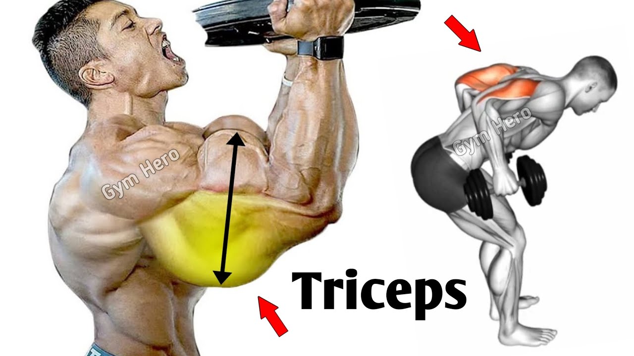 6 Killer Exercises for Massive triceps - Ultimate Triceps Workout - YouTube