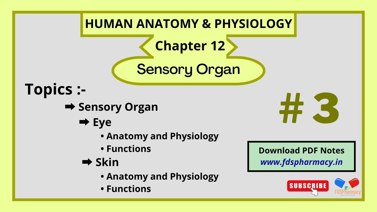 CH-12 Sensory Organ | L 3 | Human Anatomy & Physiology | D.Pharma 1st ...