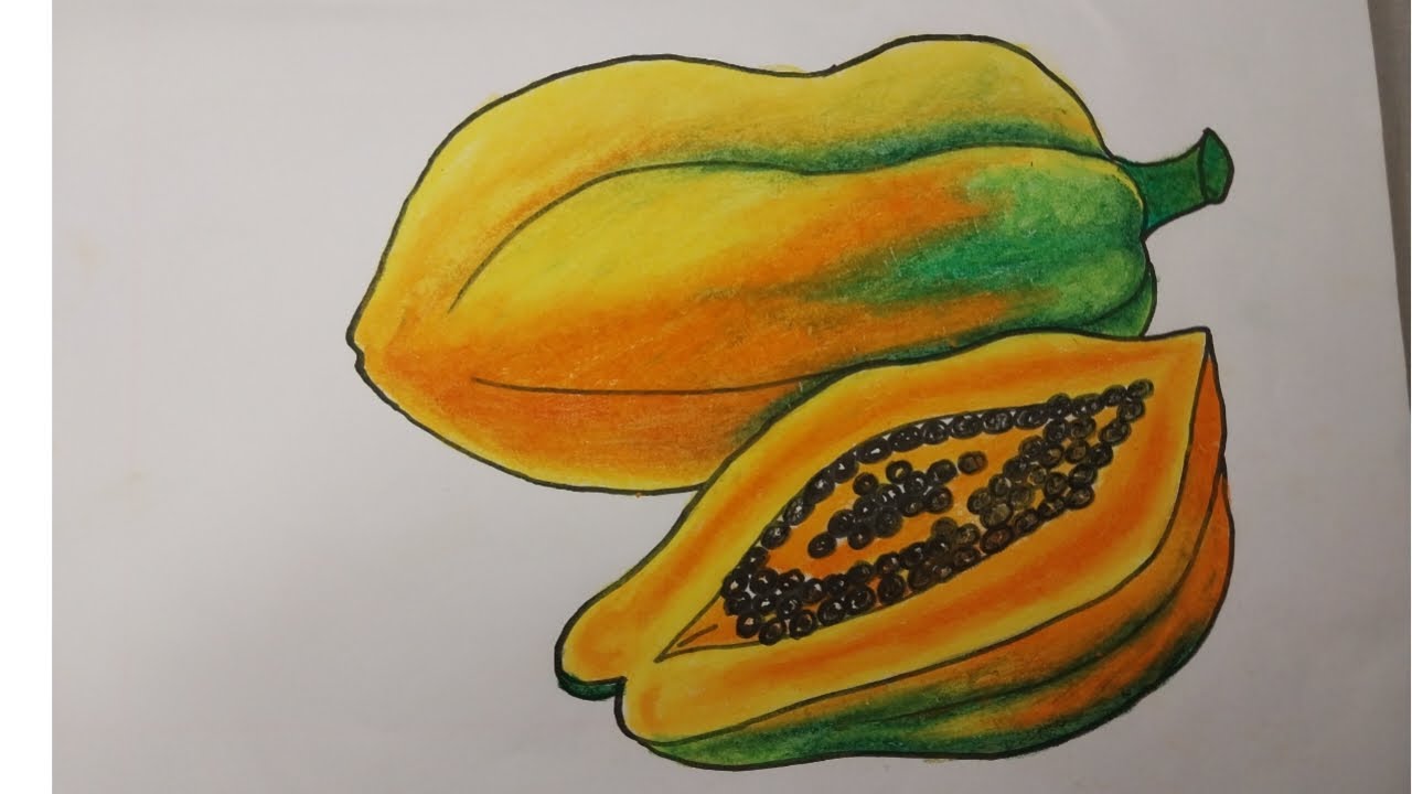 সহজে পেঁপে আঁকা ||How To Draw A Papaya ||Easy Papaya Drawing || - YouTube