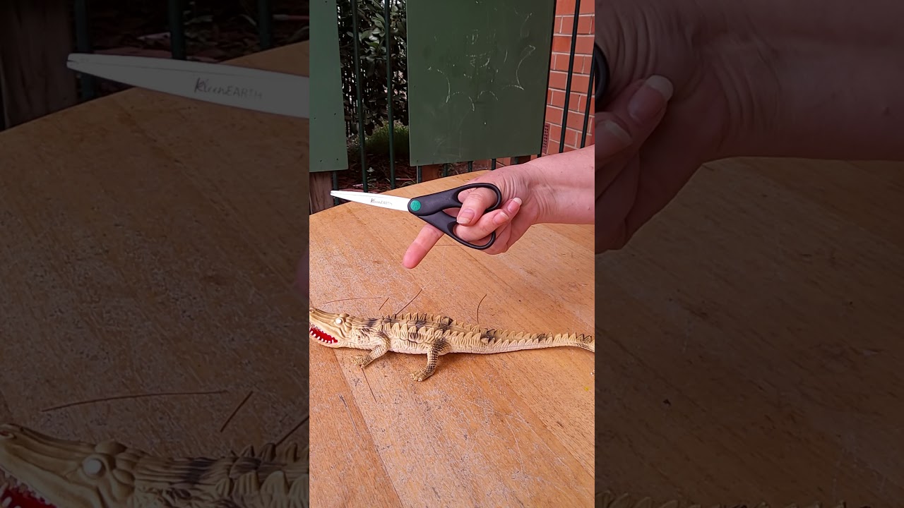 Correctly holding scissors - YouTube