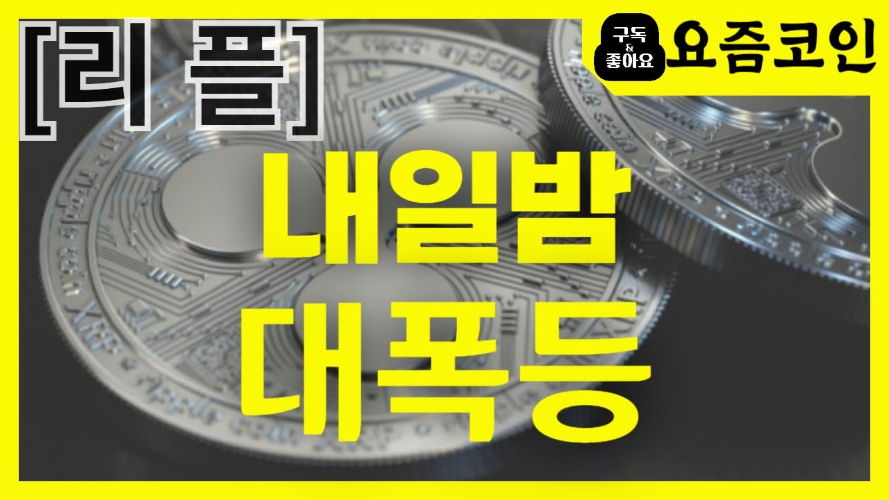 리플 』 내일밤 시작합니다 리플 리플코인 코인 리플전망 비트코인 비트토렌트 시바이누 호재 리플호재 Youtube