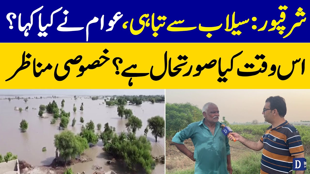 Ground Report from Inside the Tehsil Sharaqpur Flood Crisis | Dawn News ...