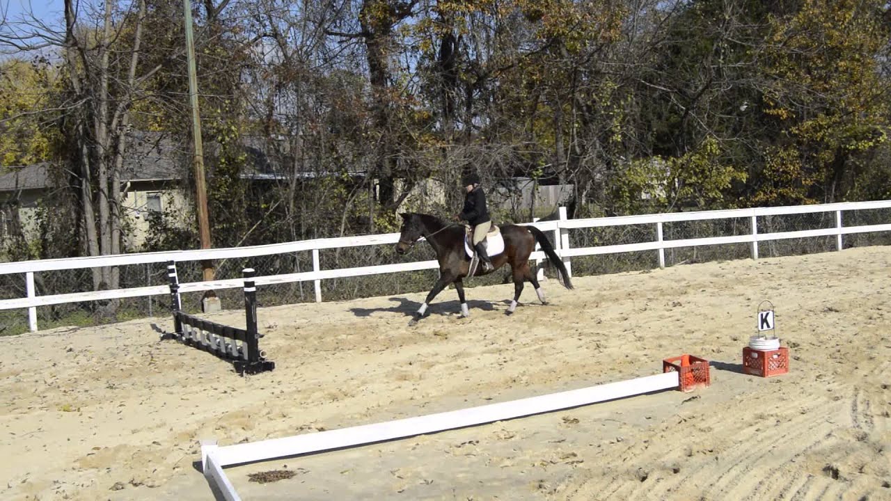 SOLD - Hawk - jumping with student - Second Chance Thoroughbreds - YouTube