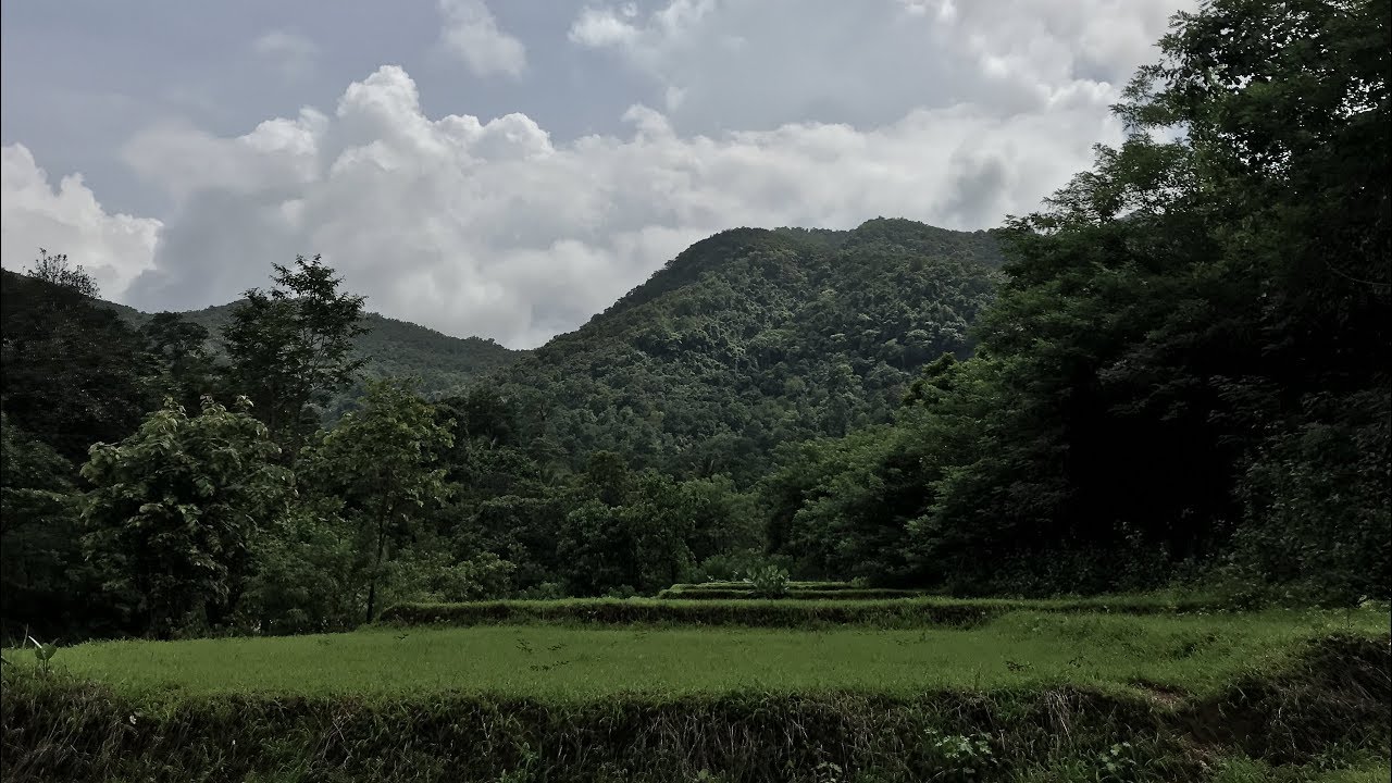 Shivling Falls, Goa | Pali Waterfall | High on Wild | Madei Wildlife ...