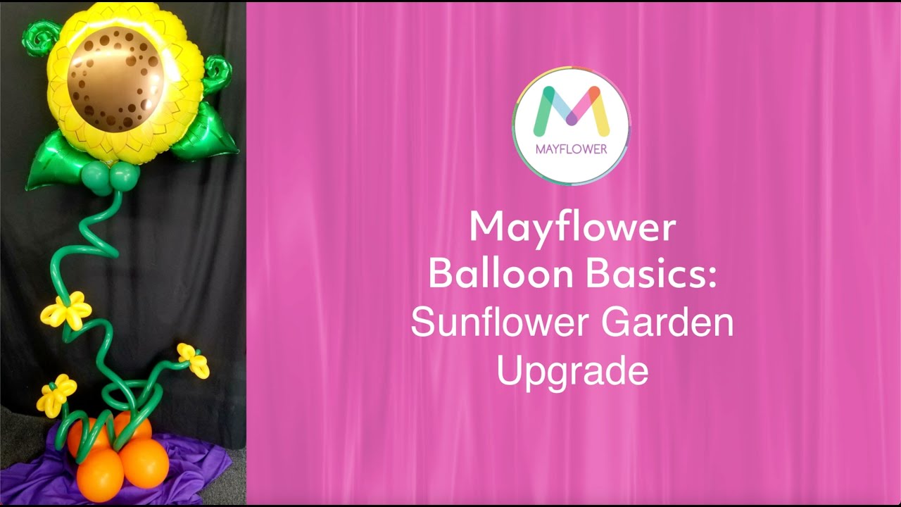 Mayflower Party Balloon Basics Sunflower Garden Upgrade - YouTube