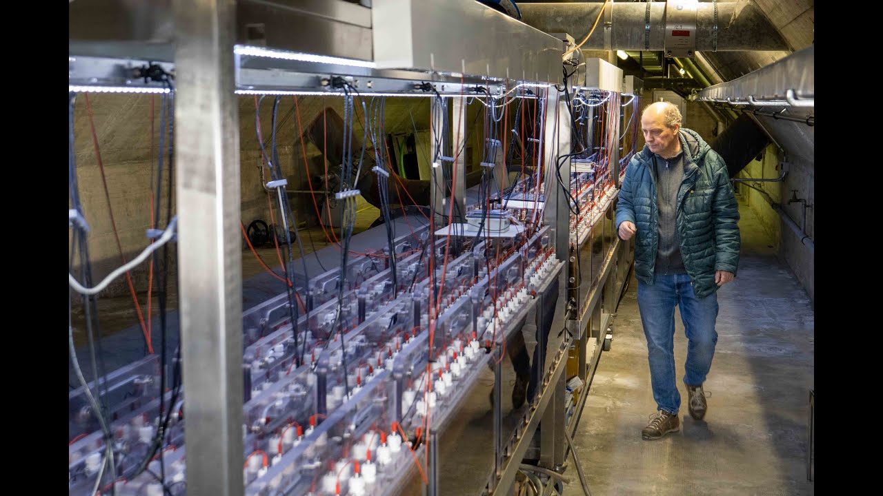 La plus grande pile à combustible microbienne au monde va encore s ...