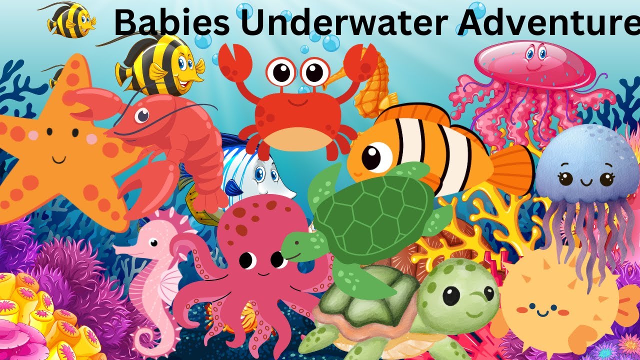 Babies Underwater Adventure | Wonders in Ocean | Fun with Nature | Baby ...