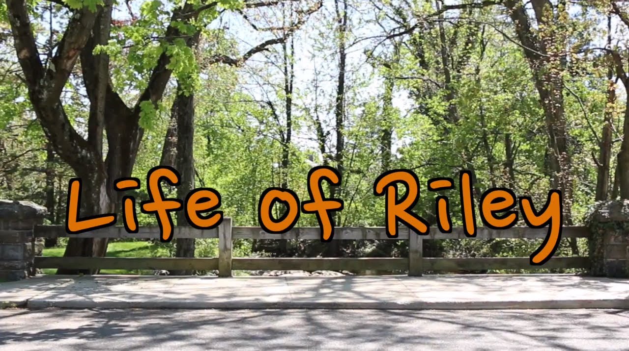Life Of Riley - YouTube