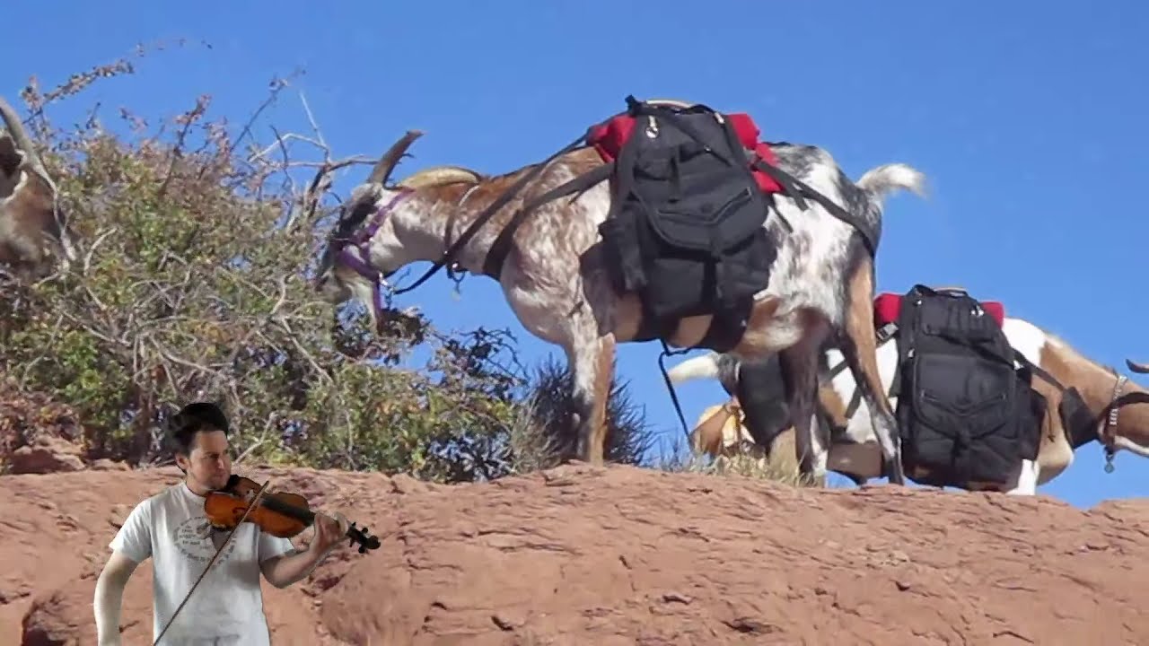 Goats in Utah - Fiddle & Violin Live | Oct 25, 2020 - YouTube