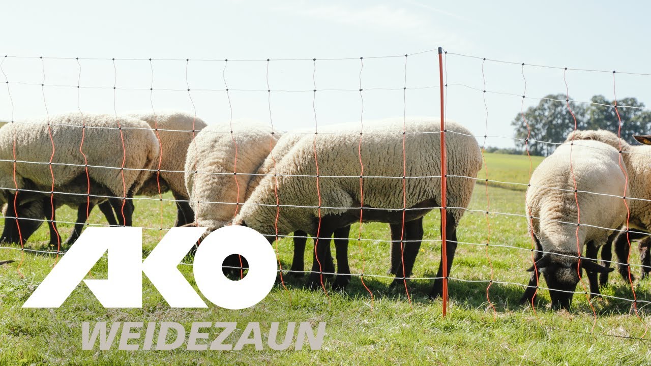 TopLine Net - Sheep Netting (#27315, 27316) - YouTube