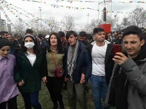 NEWROZ A    AMEDÊ      2022