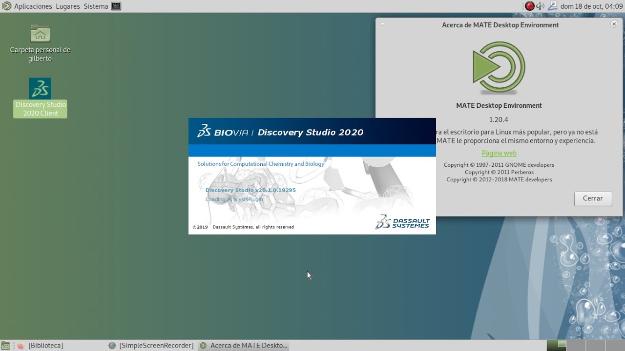 Como instalar Discovery Studio 2020 Client en Linux Debian 10.5 Buster (DS Visualizer 2020 ...