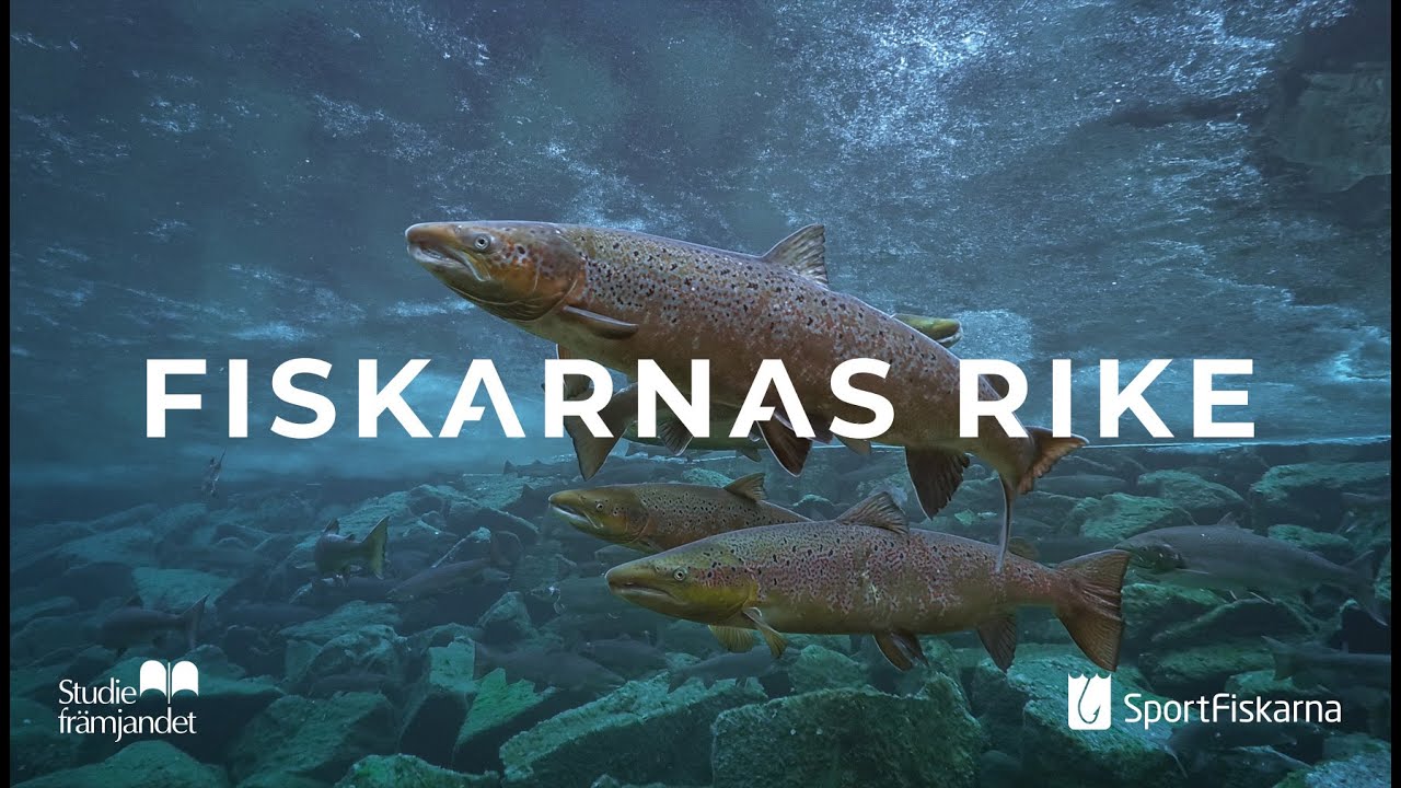 Fiskarnas Rike - trailer för föreläsningsturné med Martin Falklind ...