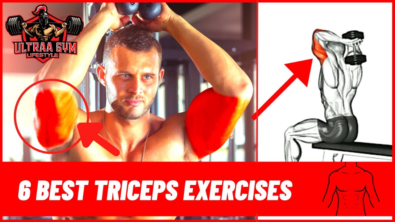 How To Get Triceps Bigger | 6 Best Exercises for Massive Tricep Gains w ...