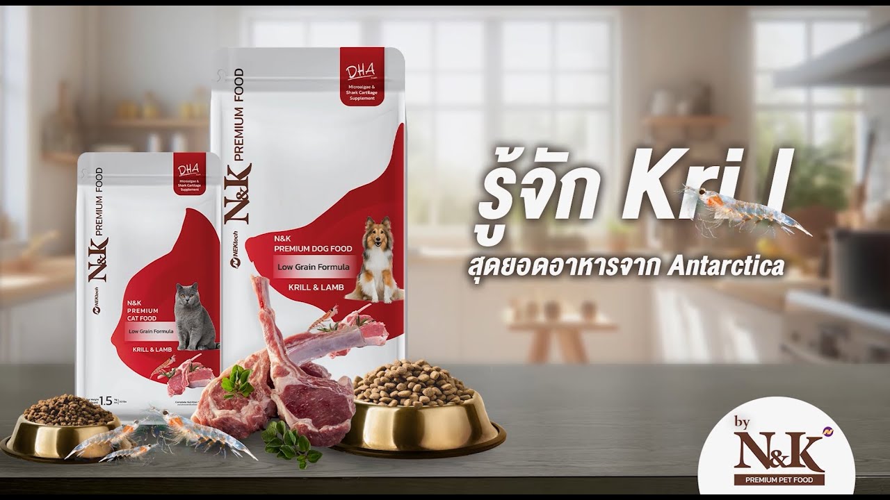 N&K Premium Food EP 1 : มารู้จัก Krill สุดยอดอาหารจาก Antarctica กัน ...