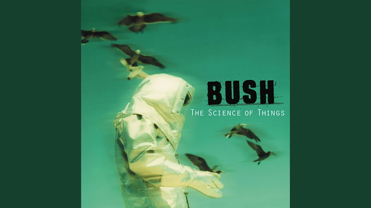 Warm Machine - YouTube Music