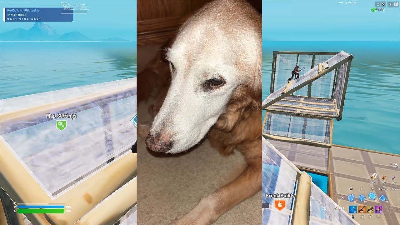 Fortnite Dog Highlights - YouTube