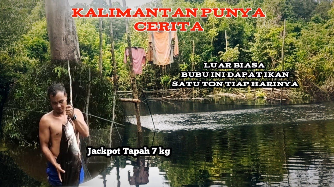 Panen ikan di tengah hutan banjiran pedalaman kalimantan - YouTube