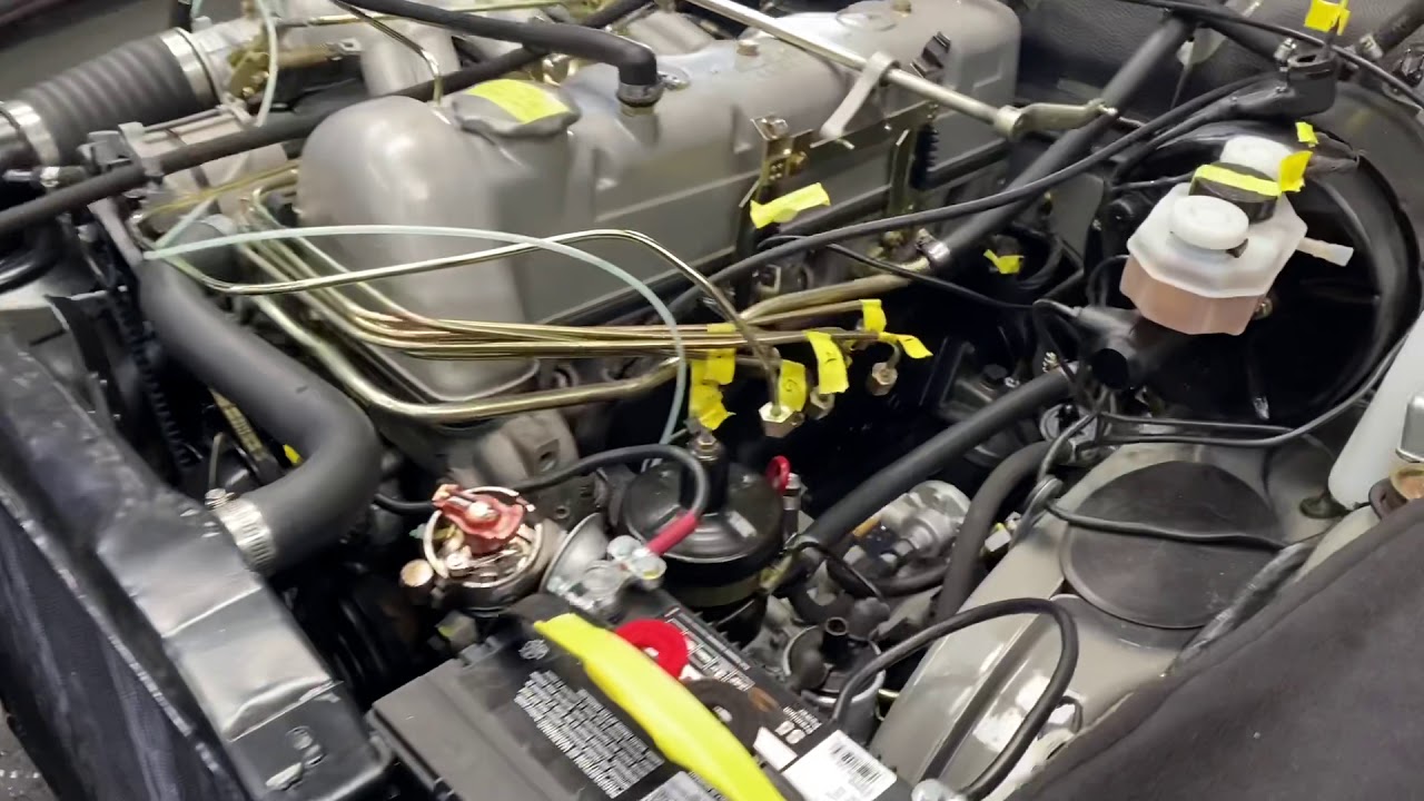 Palm Beach Classics, fully rebuild fuel injection pump for this 1967 ...