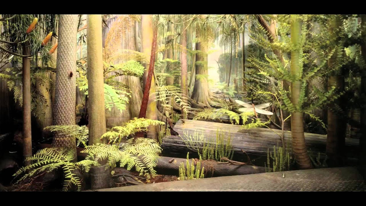 Science at FMNH -- Illinois 300 million years ago - YouTube