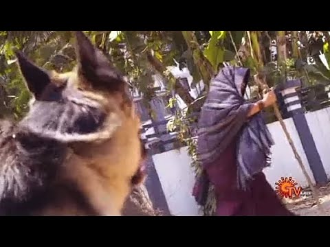 Bibi Mchawi episode 1 imetafsiriwa Kiswahili