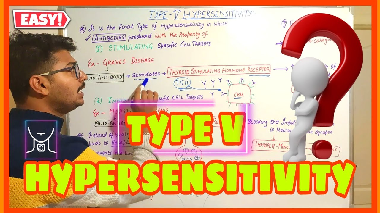 TYPE V HYPERSENSITIVITY REACTION(STIMULATING AND INHIBITING TYPE) - YouTube