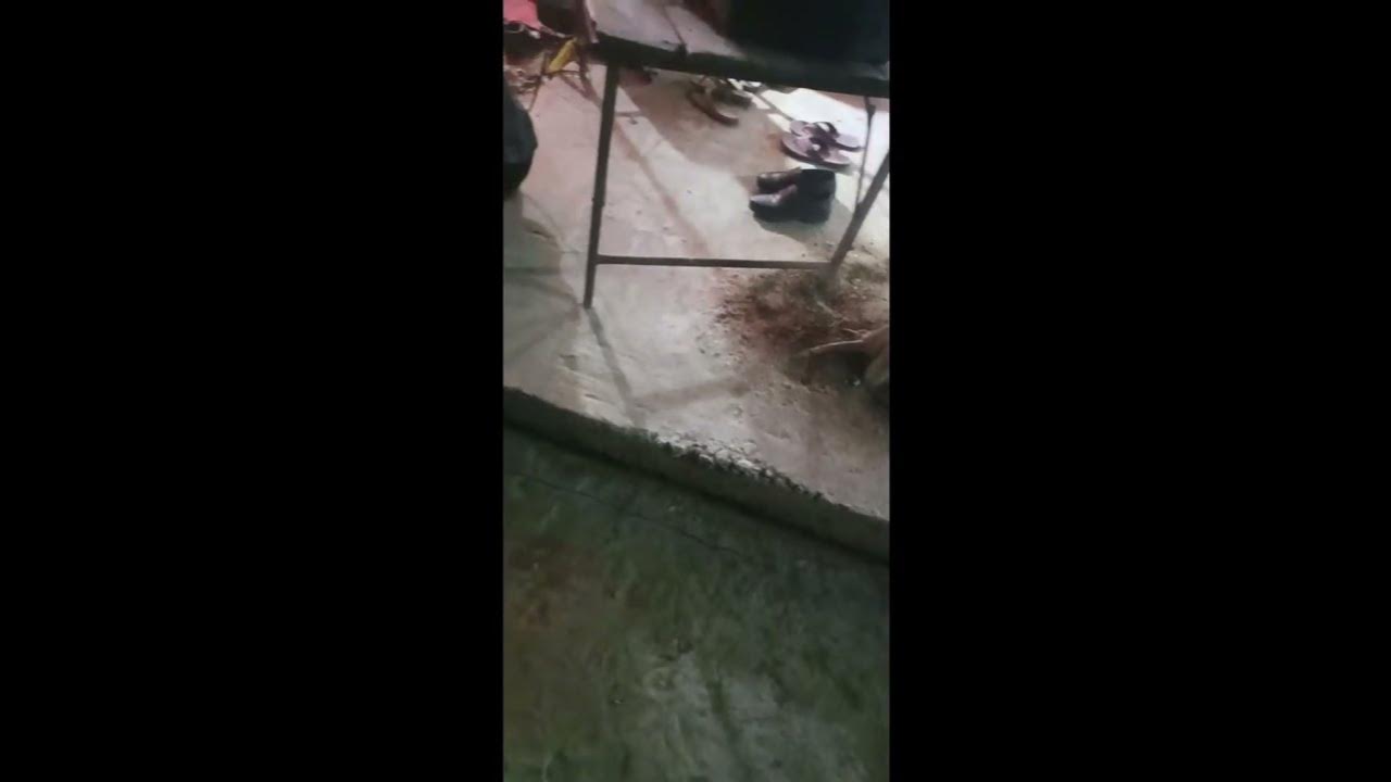 Indian_shorts-c3l is live - YouTube