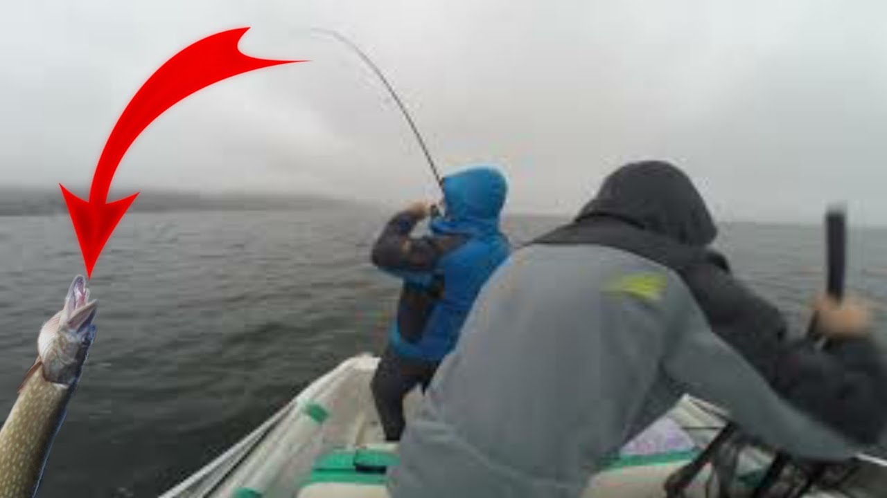 jigging pike fishing em boa companhia com direito a...... - YouTube
