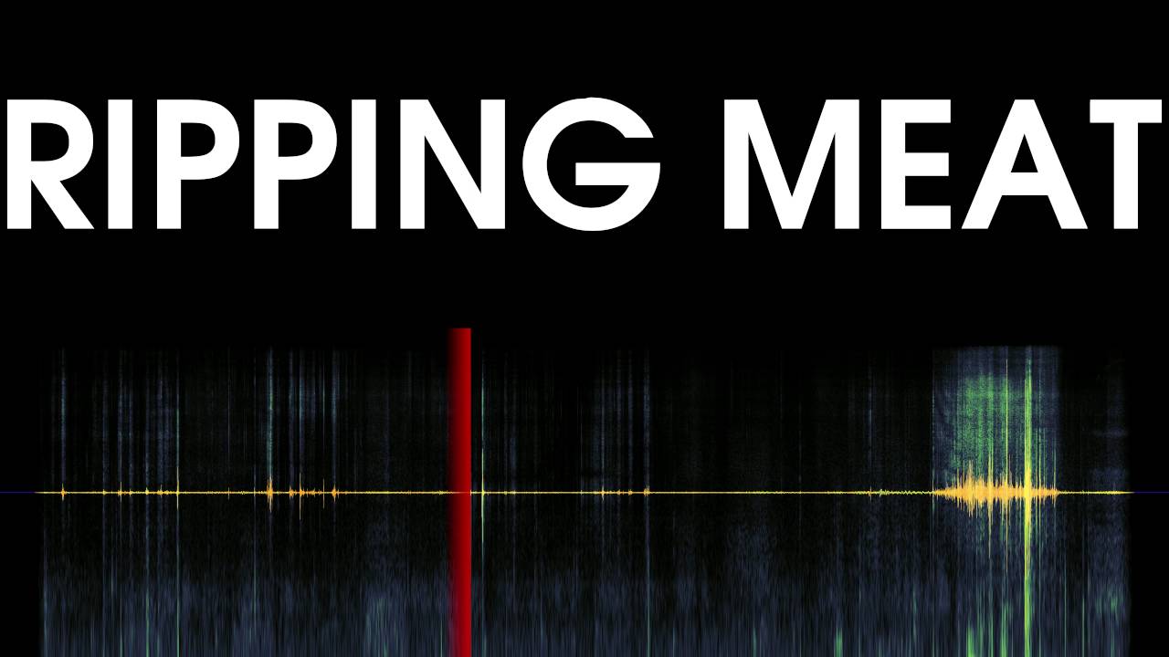 Ripping Meat Sound Effect - YouTube