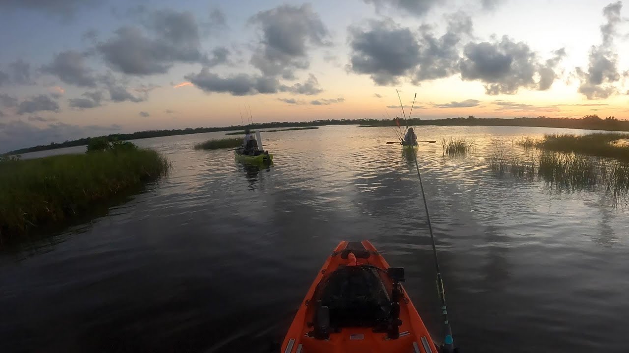 Crystal River Kayaking Fishing the Nature Coast in Cedar Key Florida ...