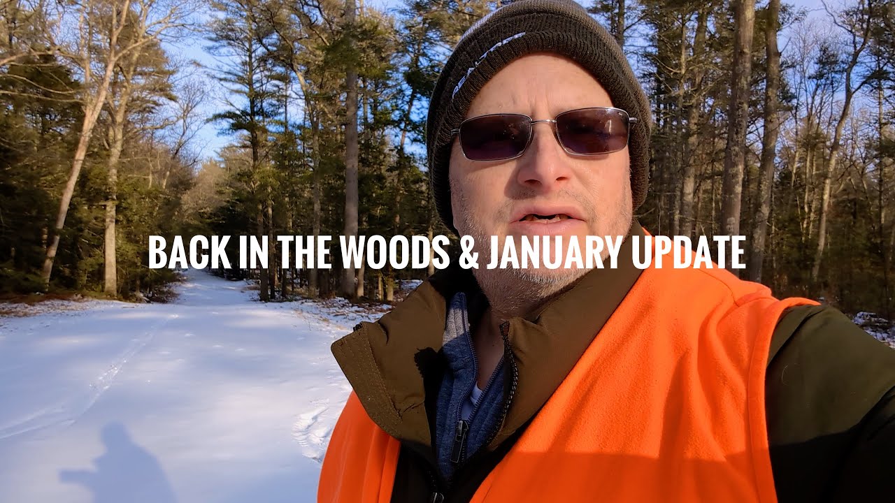 Snowy Walk in the Woods - January Update - YouTube