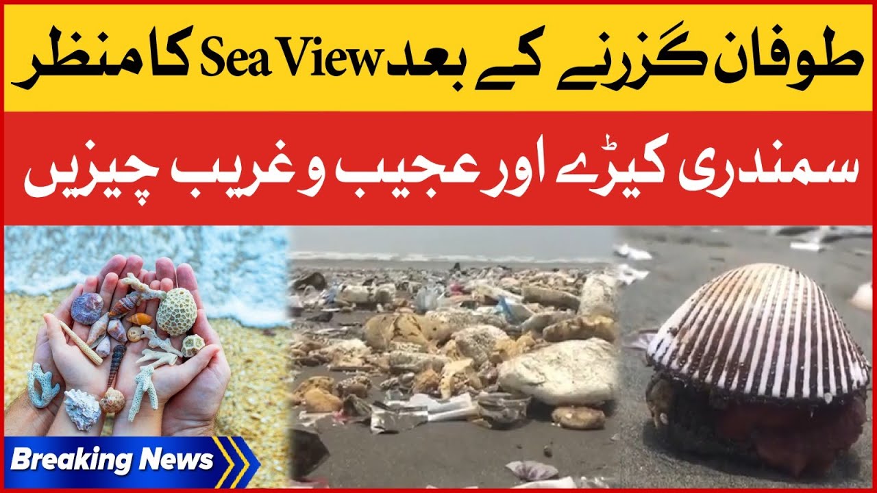 Toofan Ka Bad Sea View ka Manzar | Samandari keeray Or Ajeeb Cheezan ...